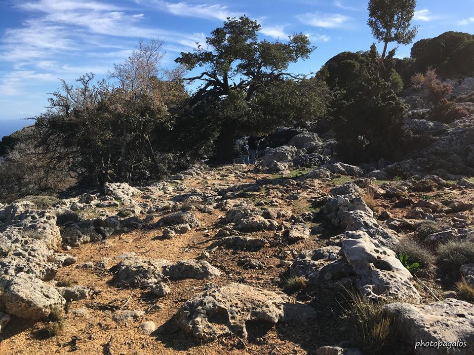 EXPLORE MOUNTAINS: ΣΤΟ ΚΑΛΝΤΕΡΙΜΙ : ΟΡΟΠΕΔΙΟ ΚΑΘΑΡΟΥ-ΚΡΙΤΣΑ