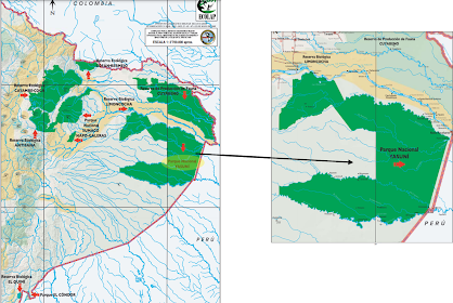Biodiversidad en el parque Yasuni: Biología