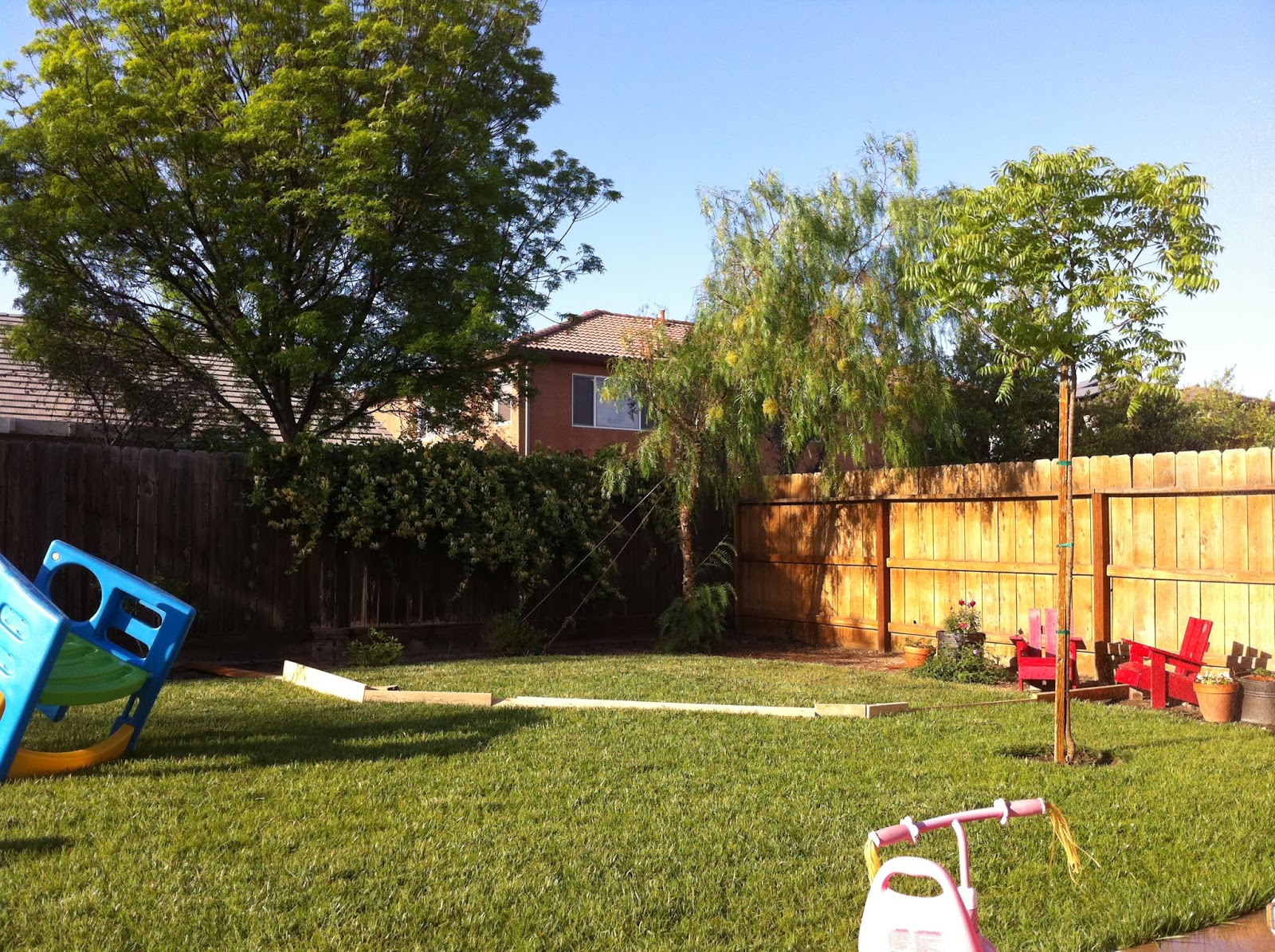 picklewitsandpolkapots: Pergola