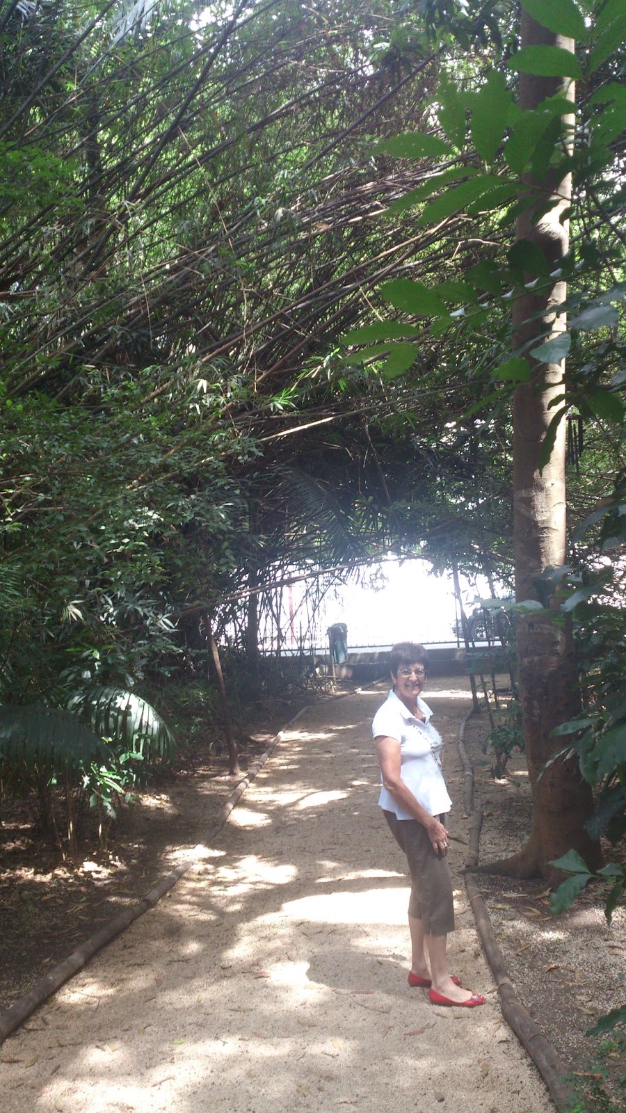 Blog da Ana: Bosque do Brooklin