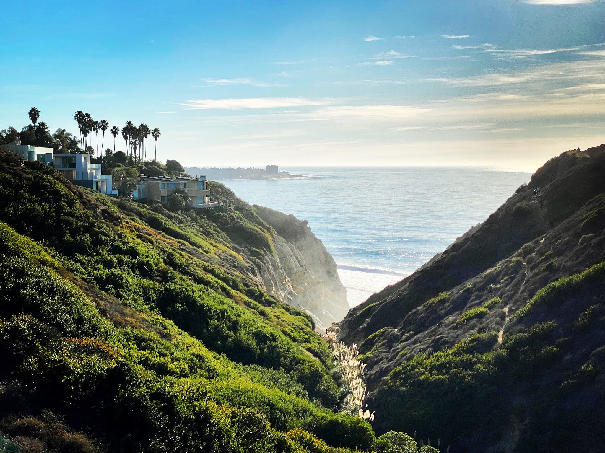 Sensory Overload: Saigon Trail Hike on New Year's Day (Black's Beach)