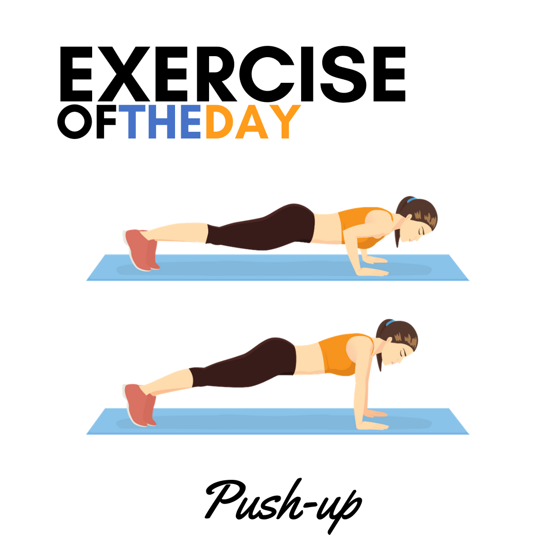 EXERCISE OF THE DAY.....PUSH UPS