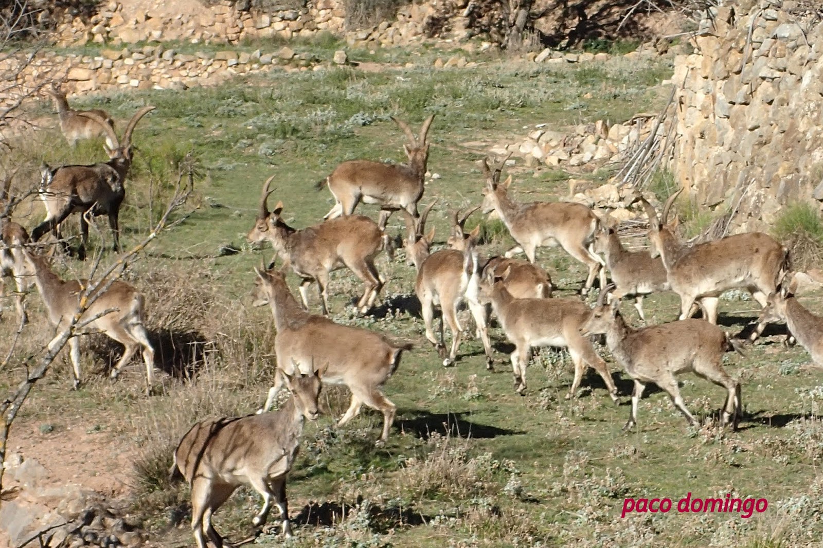 SUBE Y BAJA: ZUCAINA - CHORRADOR - CEDRAMÁN - CIMORRETA - MAS DE MONTÓN ...