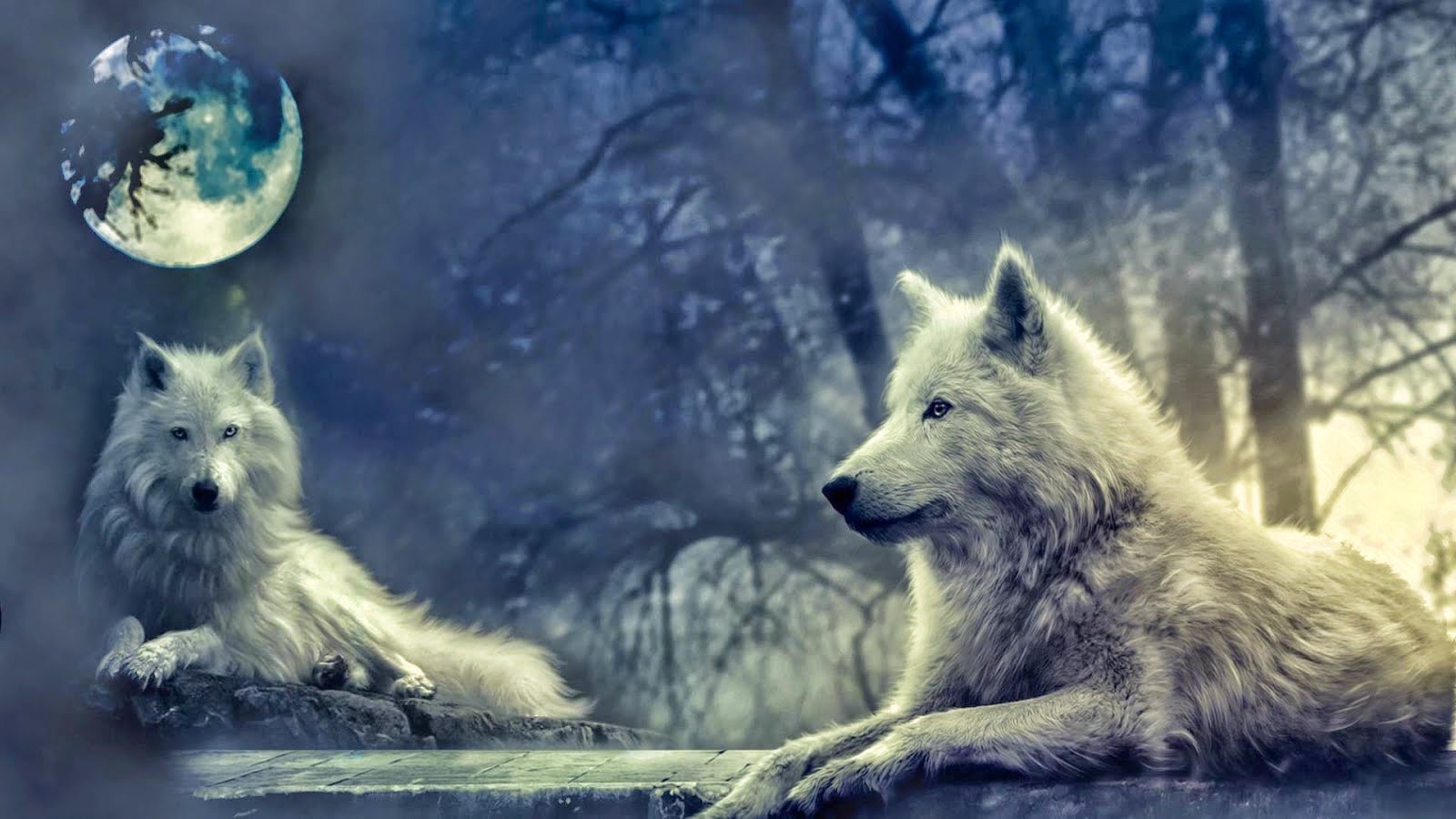 Danaela: Pe calea misterelor: Marele Lup Alb