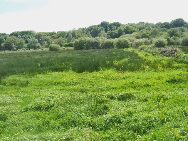 Lin's Isle of Wight Walking Blog: Walk 11 Alverstone Squirrel Walk - 4. ...