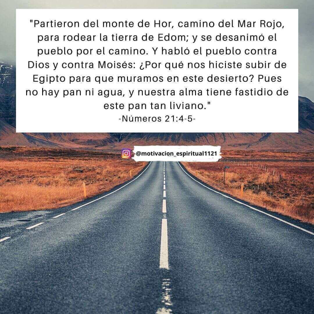 💪 Reflexiones cristianas de ánimo y esperanza escritas – Reflexiones ...