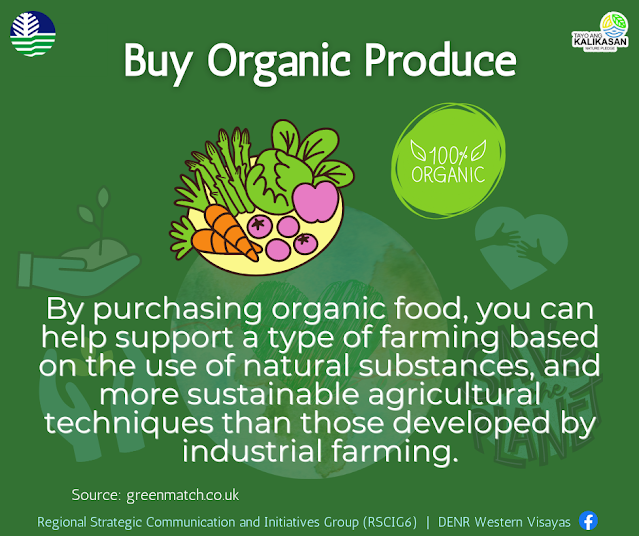 20 Simple Ways to Save the Earth [Save the Planet Infographic ...