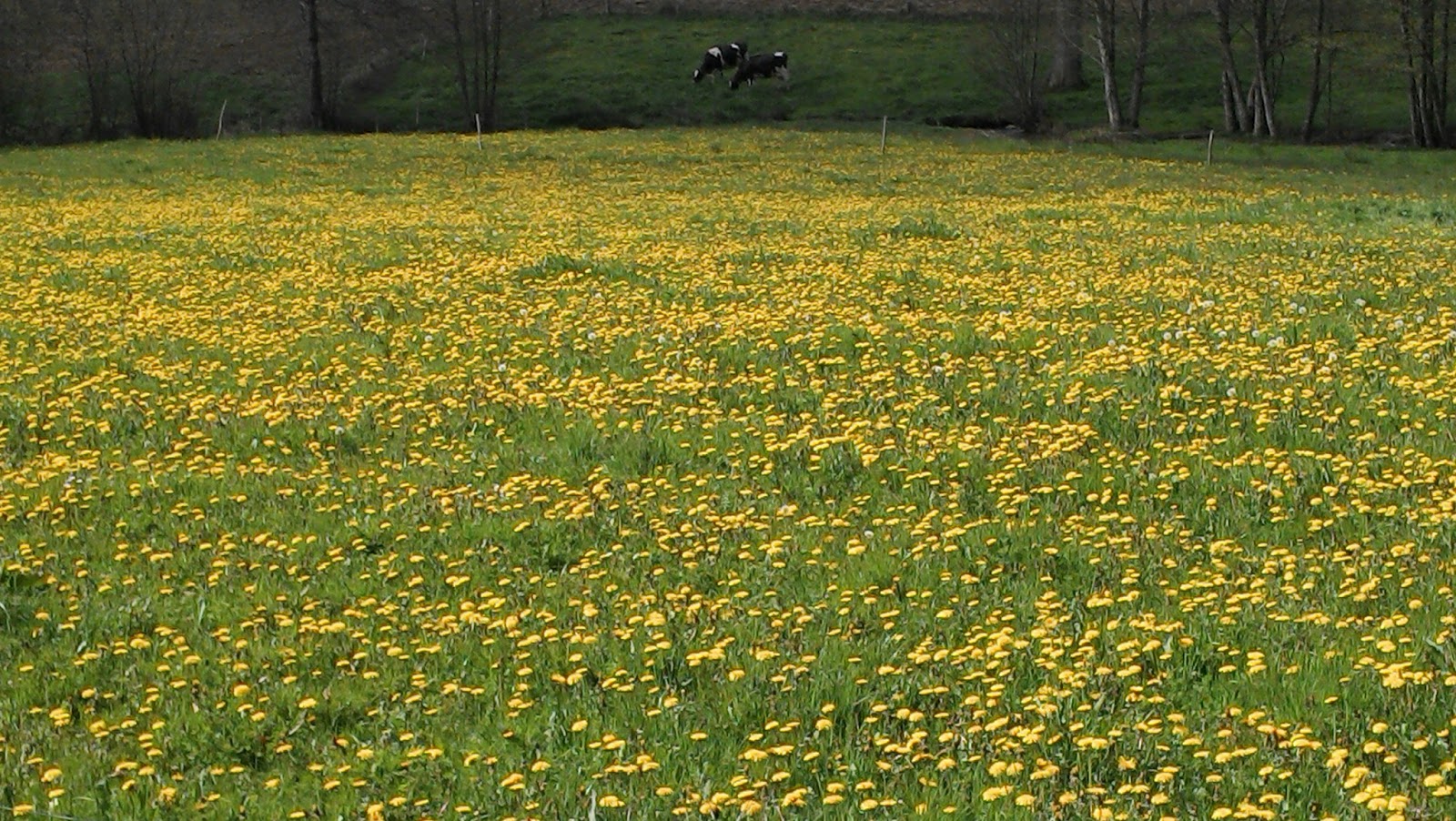 Landing in Normandy: April 2013