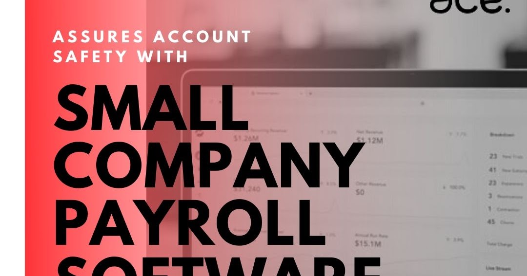 ACE: Small Company Payroll Software Assures Account Safety, Accuracy
