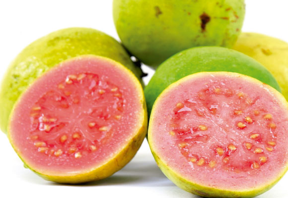 Ciência Coletiva: O que é o bicho da goiaba?