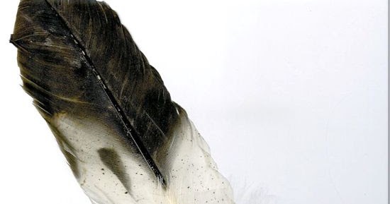 Princess Nicketti vs. Jane Eagle Plume