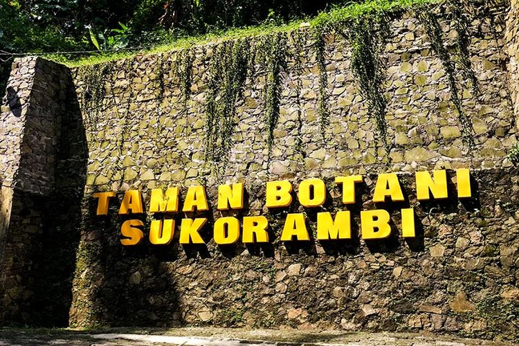 Top Wisata di Jember, Tempat Liburan Hits 2020 - TOPWISATA