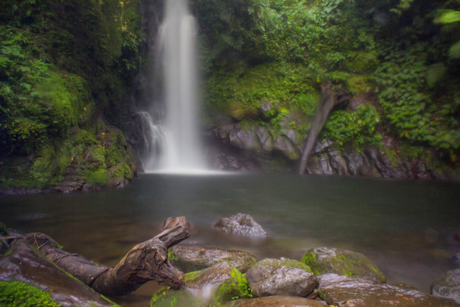 Trail Marky: How to Travel Solo to Mt. Isarog: 10 Tips