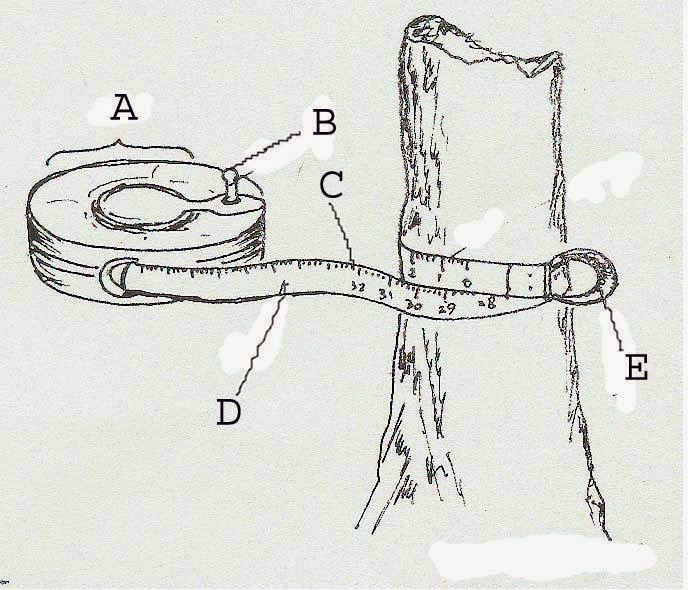 Where Is Phi Band at Connie Goodin blog