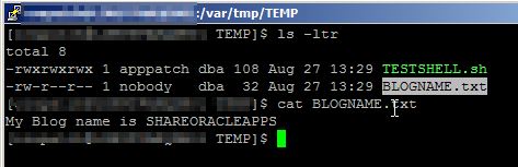 How to execute a Shell Script from PLSQL? (DBMS_SCHEDULER) ~ Oracle ...
