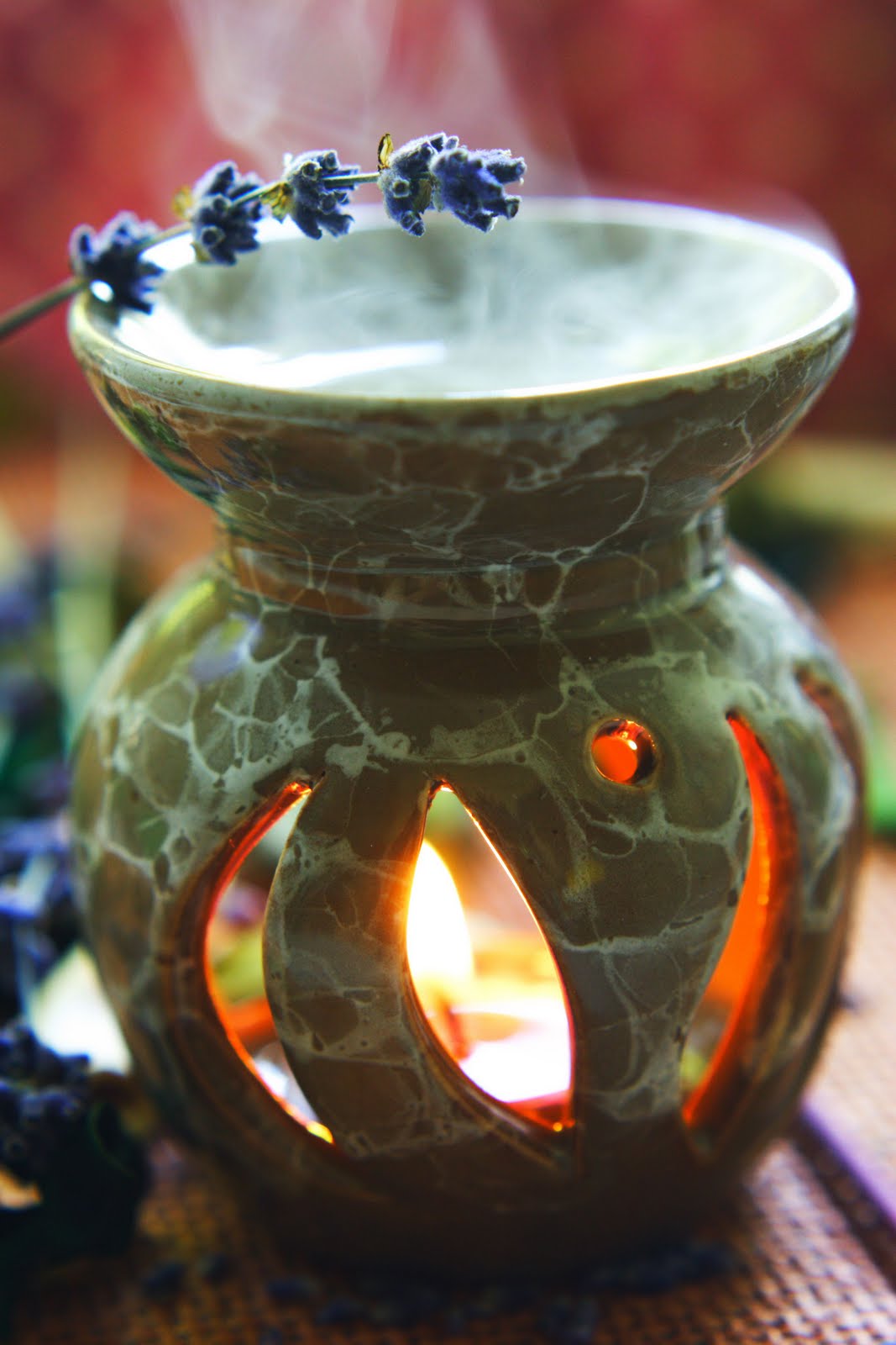 ACHS.edu Aromatherapy Education