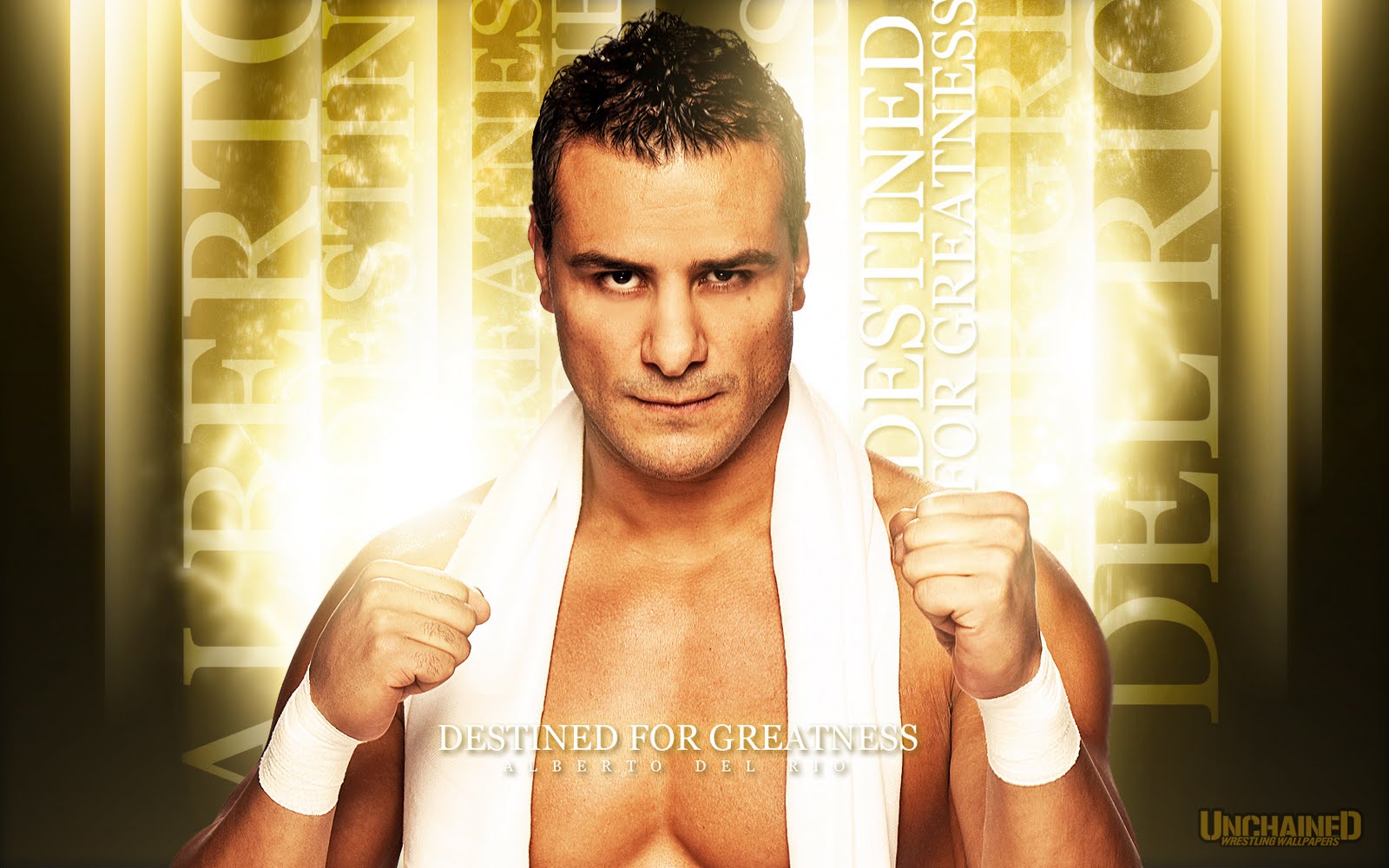 Music: WWE Royal Rumble Winner 2011