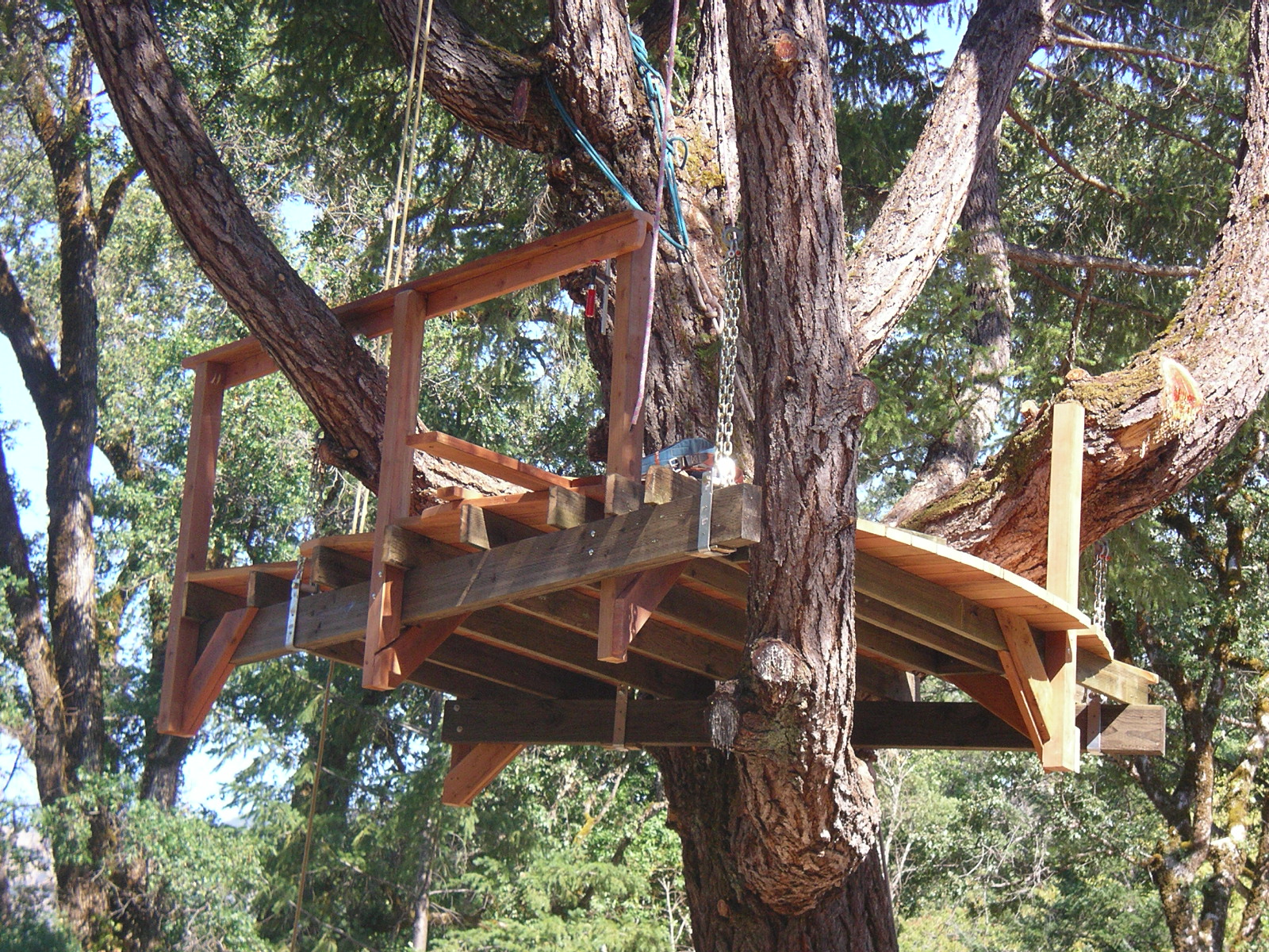 Priority Tree: Suspended Tree House, (deck)