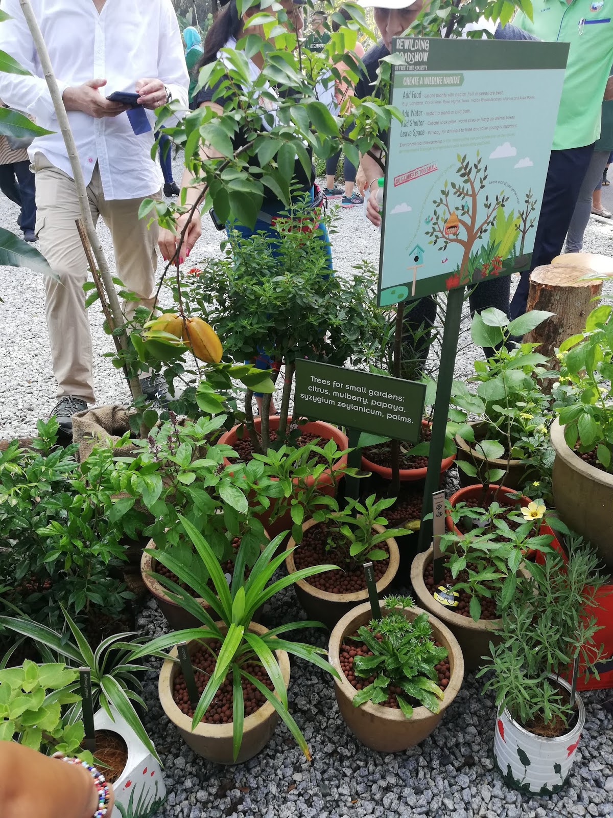 Motoring-Malaysia: Sponsored by Daihatsu Malaysia, The Rewilding ...