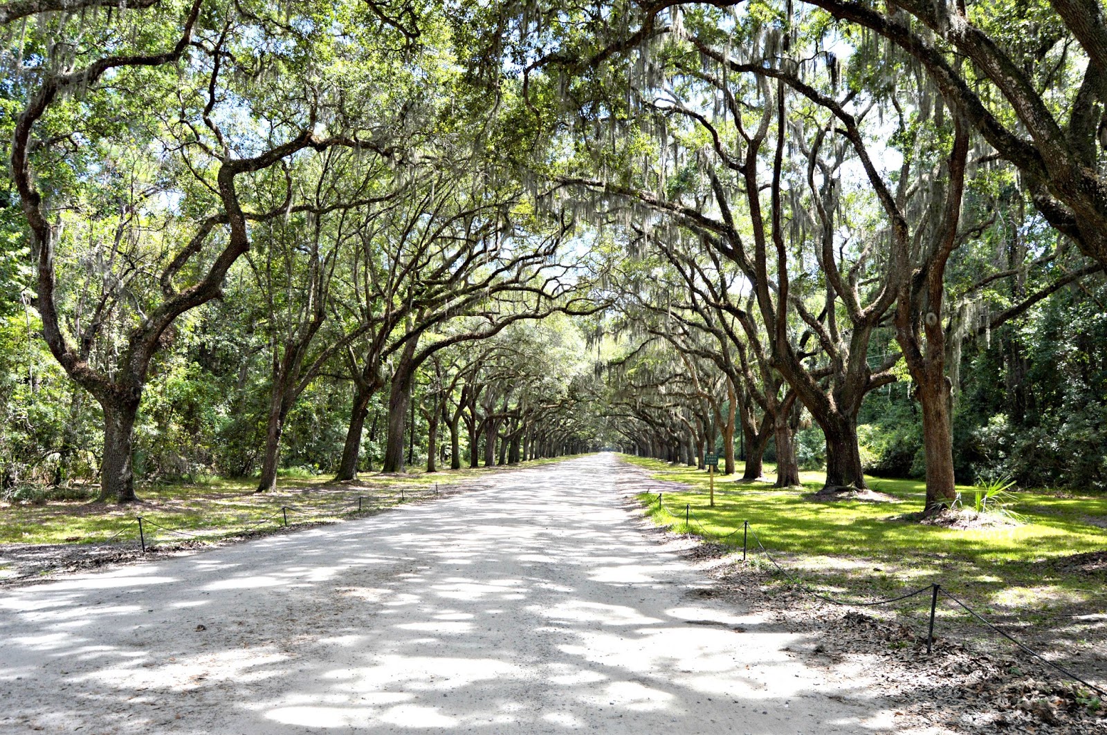 Wormsloe Historic Site.
