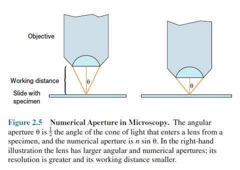 Microbiology Notes: The Study of Microbial Structure : Microscopy and ...