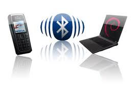 RED WPAN: BLUETOOTH EN RED WPAN