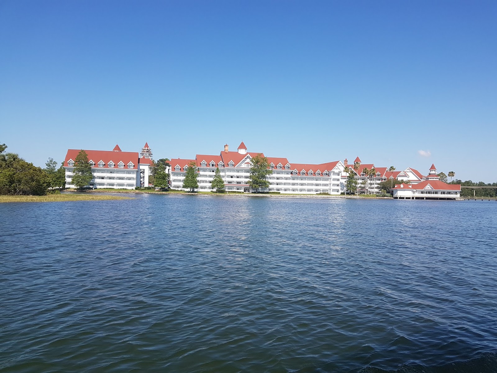 Little Miss Disney: 2019