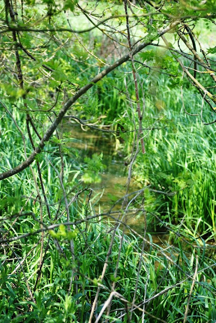 Angling Attributes: .......River Misbourne (Misborne)