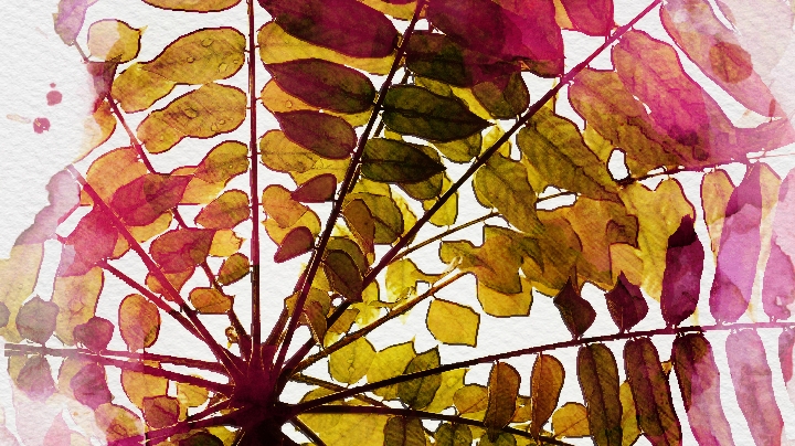 Näin algoritmien eettisiin ongelmiin voidaan tarttua