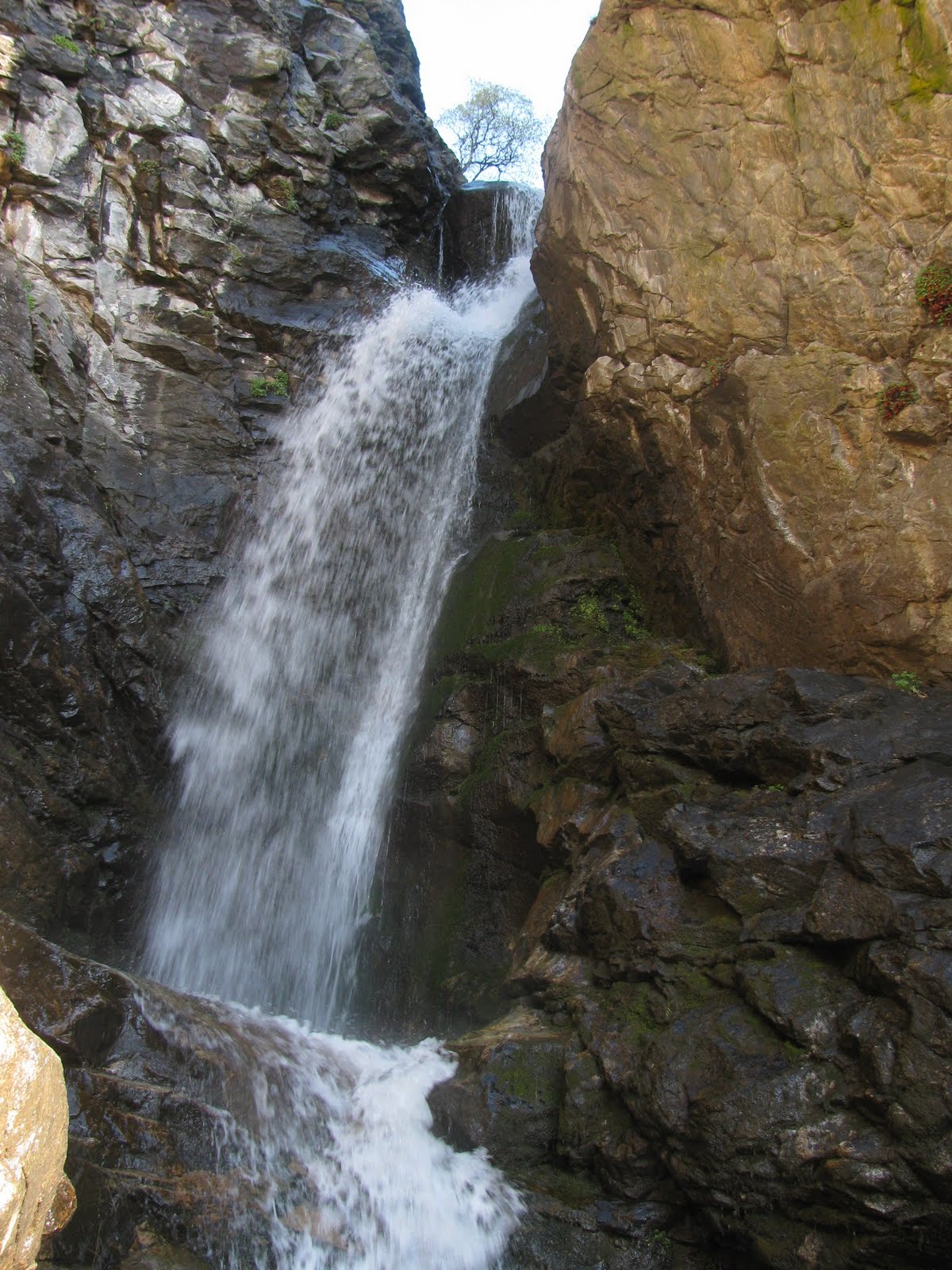 Backyard Excursions Rocky Mouth Waterfall