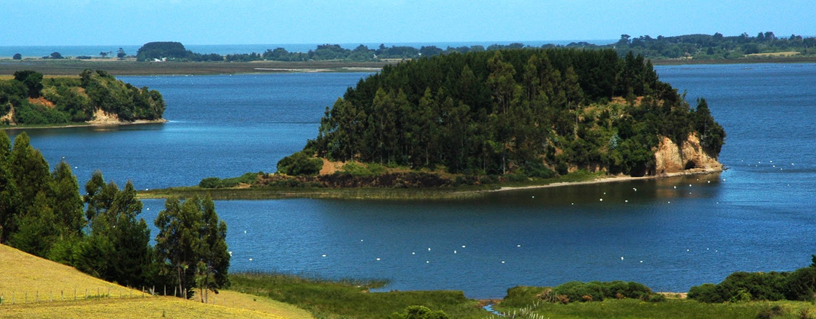 Chile sus mitos y leyendas: Dos leyendas del Lago Budi.