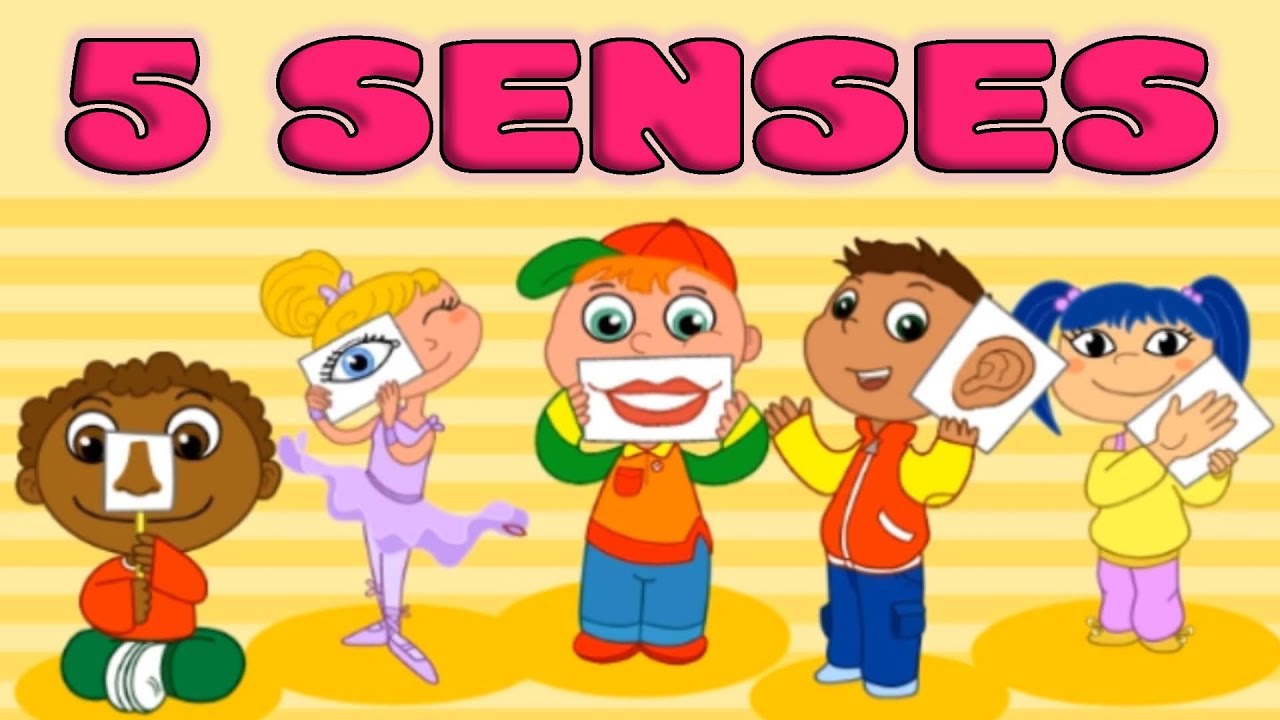 recursos EDUCATIVOS para casa : FIVE SENSES los cinco sentidos
