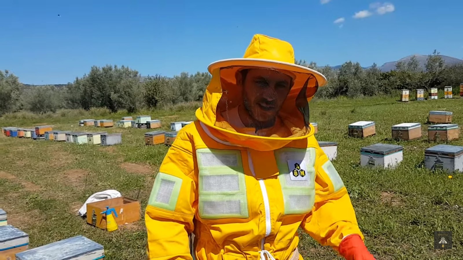 ΠΩΣ ΚΑΝΟΥΜΕ ΑΝΤΙΚΑΤΑΣΤΑΣΗ ΒΑΣΙΛΙΣΣΑΣ {(ΕΠΙΛΟΓΗ) (ΒΙΝΤΕΟ)} - XΡΥΣΟ ΜΕΛΙ ...