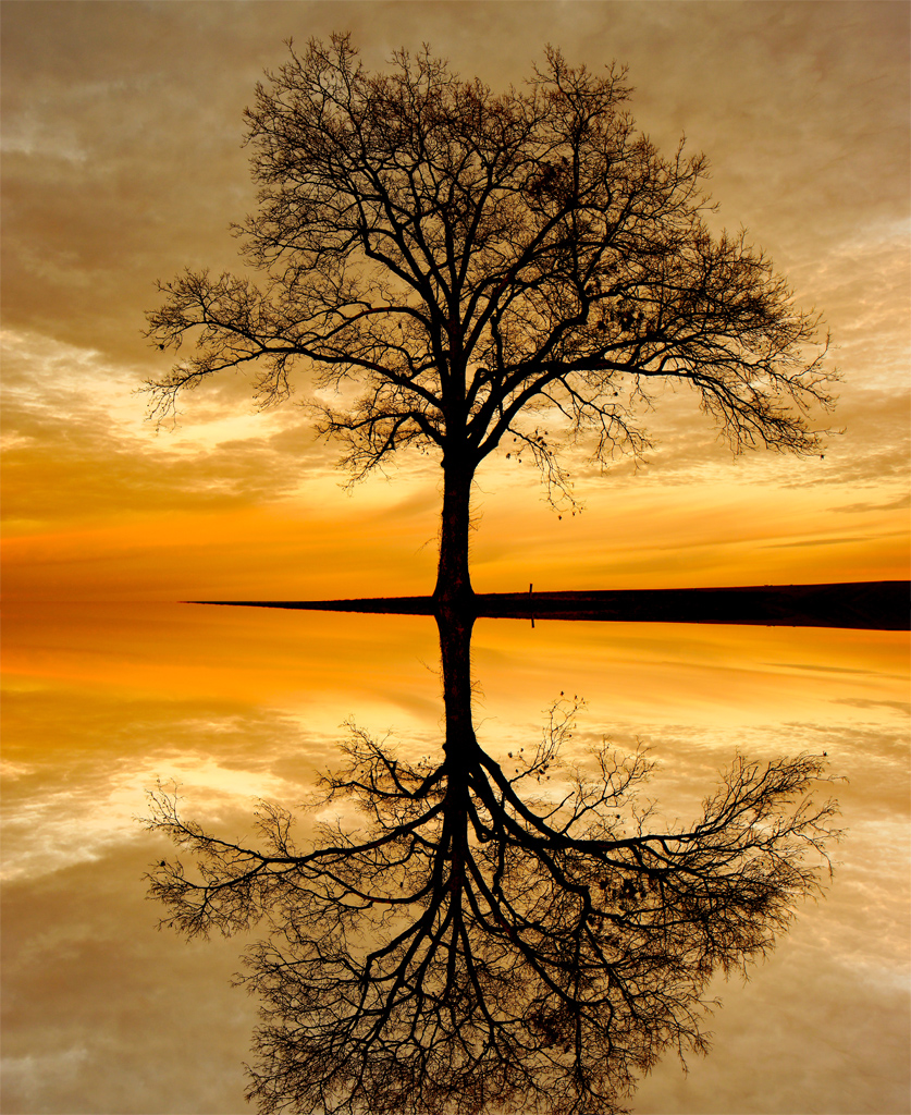 BeyondTheCampfire - Established 2010: The Simple Landscape