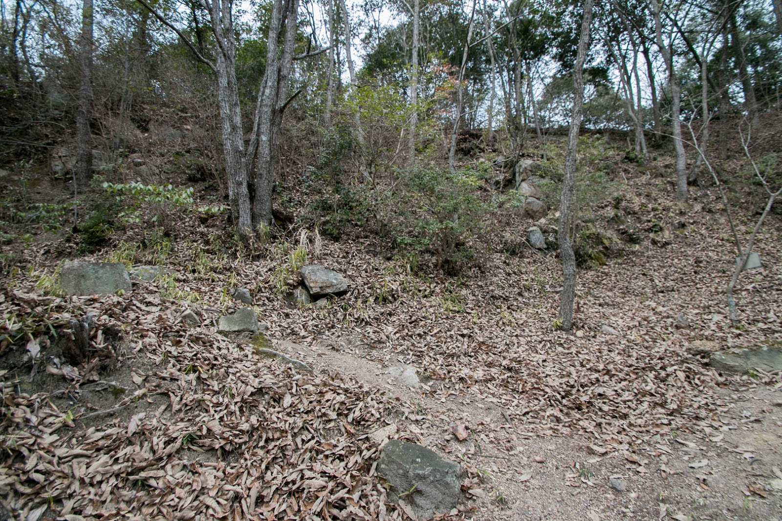 Niitakayama Castle -Intellectual pillar of Mouri clan (2)- | Japan ...