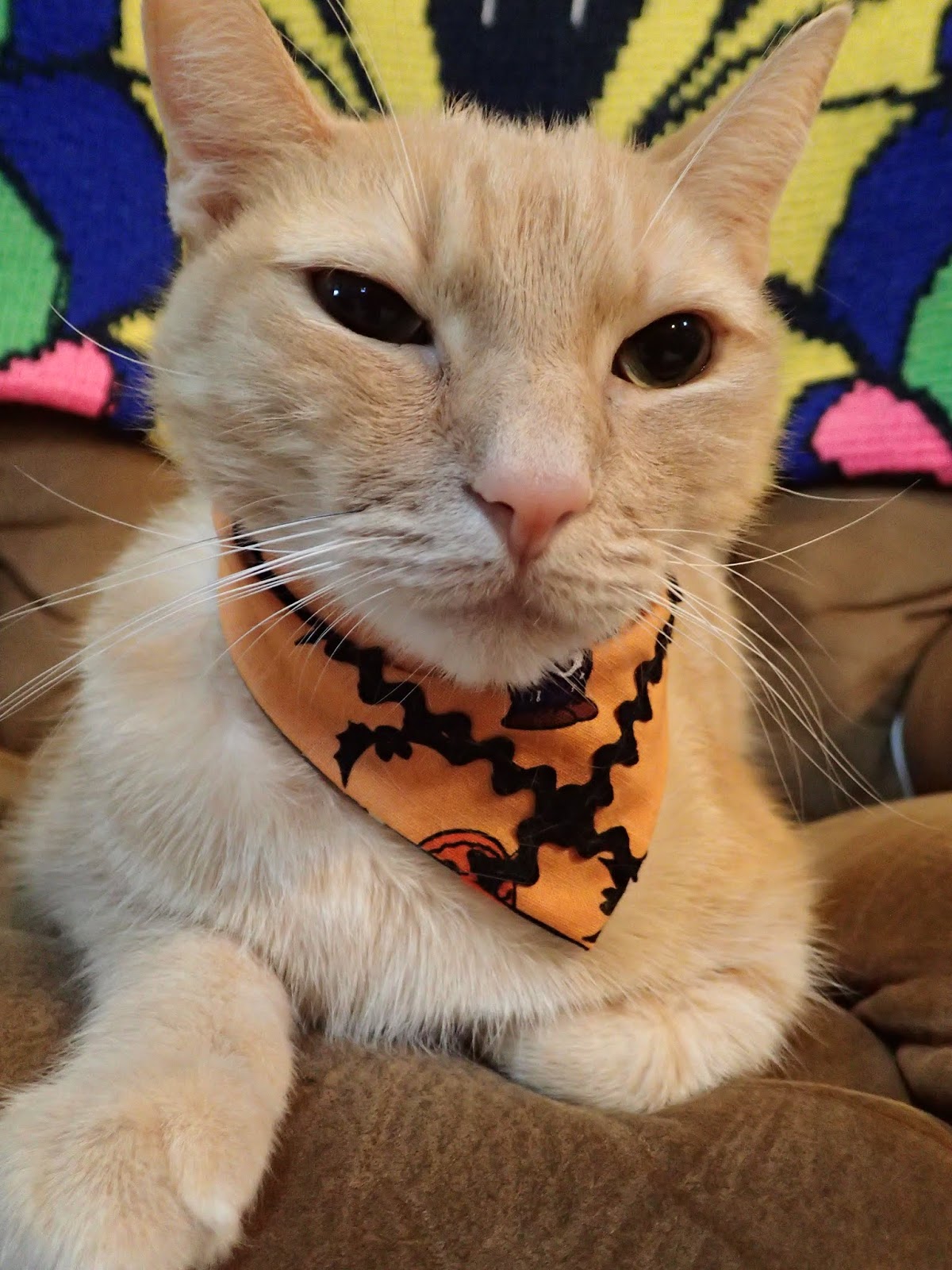 Lone Star Cats: Relapse