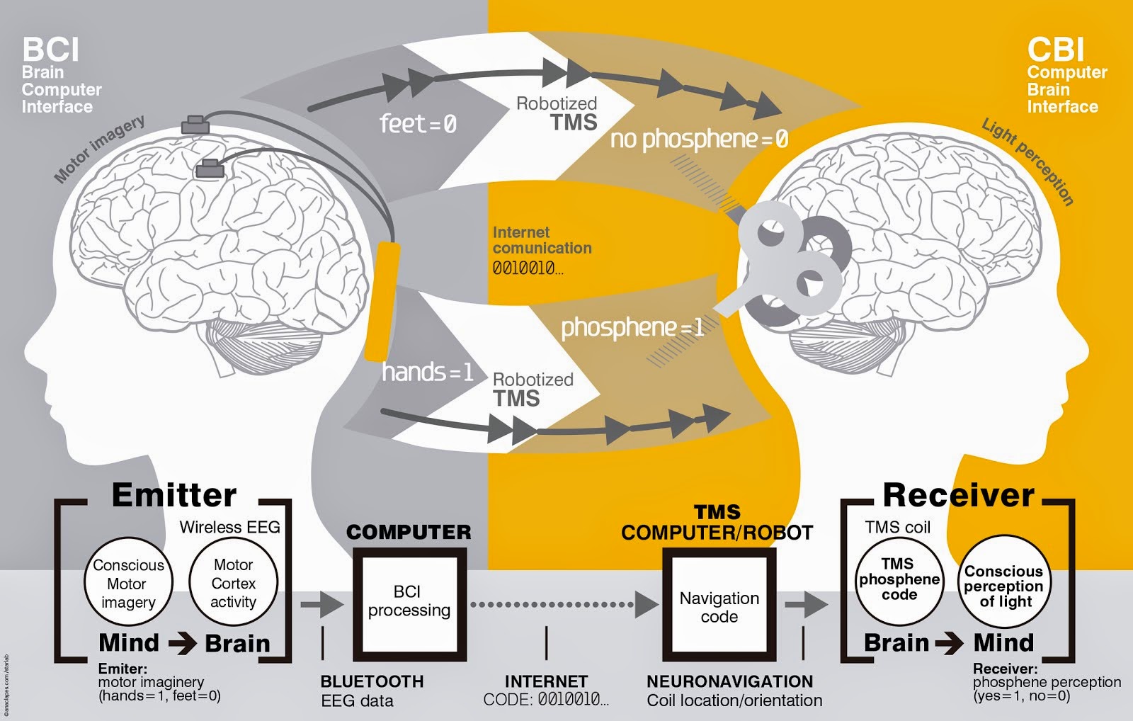 Conscious Brain-to-Brain Communication in Humans Using Non-Invasive ...