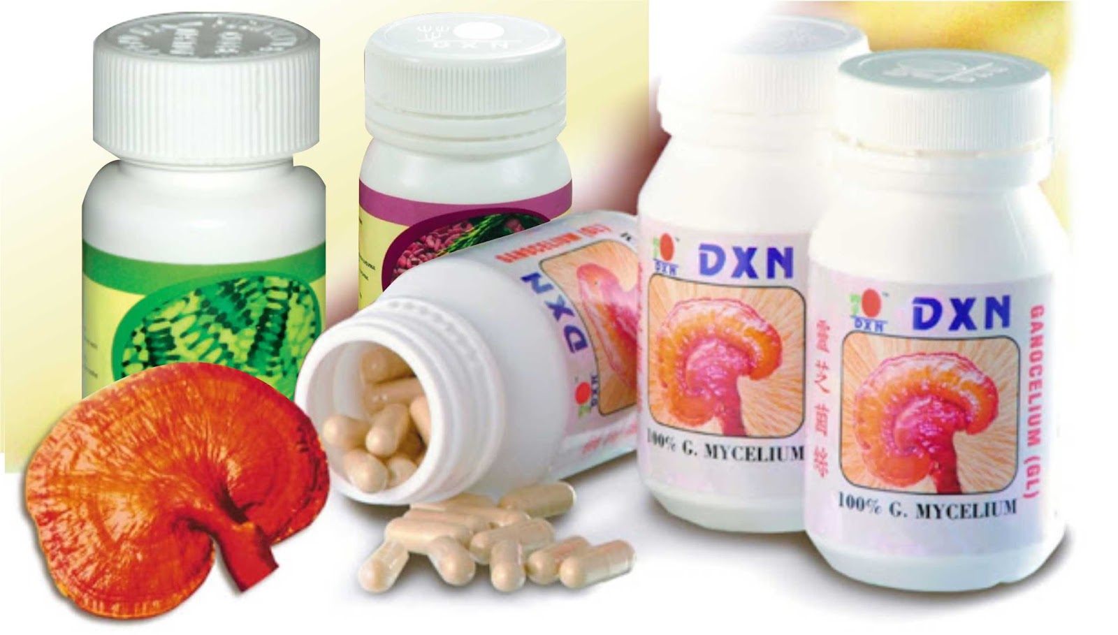 SUPLEMENTOS ALIMENTICIOS DXN - DXN COLOMBIA