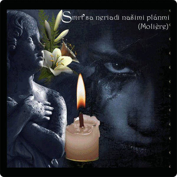 SEDMIKRÁSKA - OBRÁZKY: OBRÁZKY - DUŠIČKY