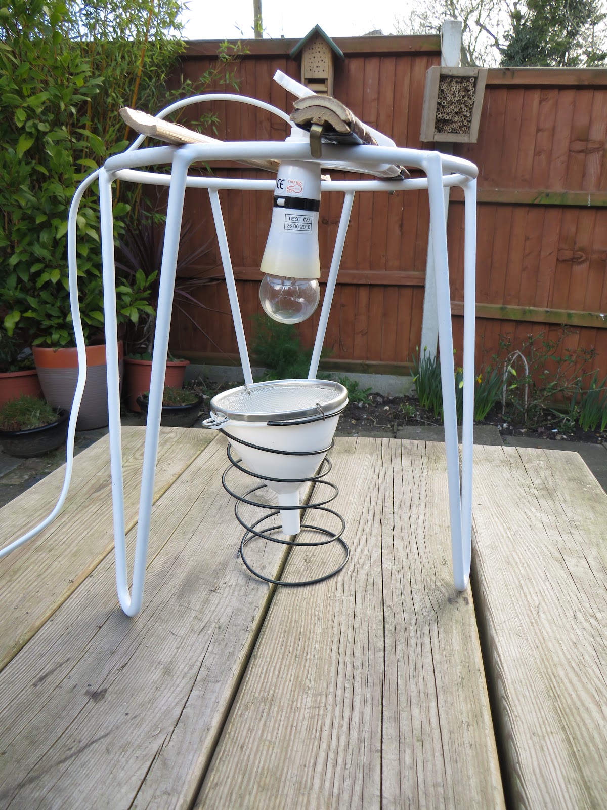 Binoculars, net and bug pots...: Mini-Tullgren Funnel for mini-beasts!