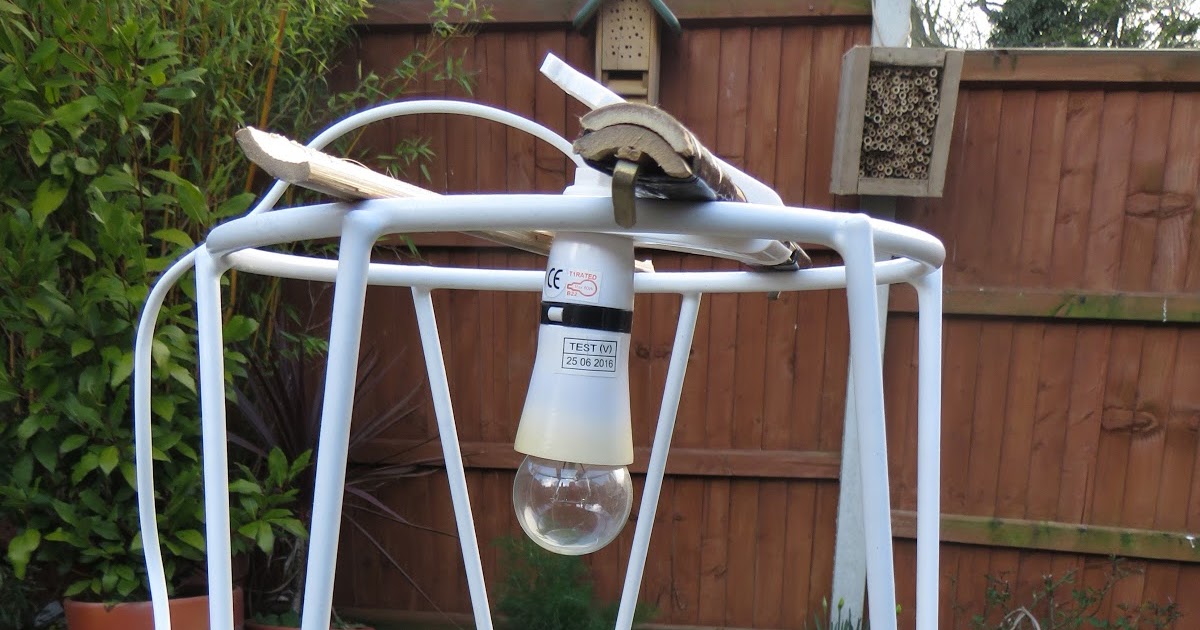 Binoculars, net and bug pots...: Mini-Tullgren Funnel for mini-beasts!