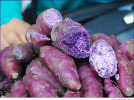 SEKOLAH KEBANGSAAN SEDC, SIBU: FOR SHARING - THE PURPLE SWEET POTATO