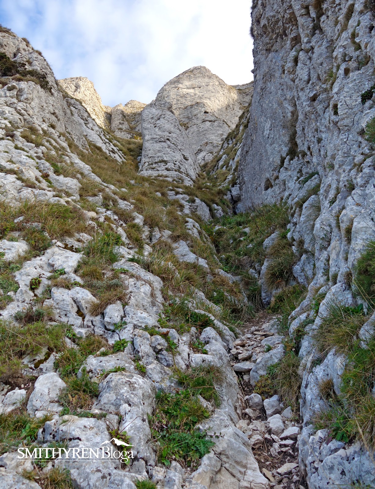 Smithy: BERIAIN (1.493 M), AKERREGIKO HAMABIETAKO BARGAKO OHIKO BIDETIK ...