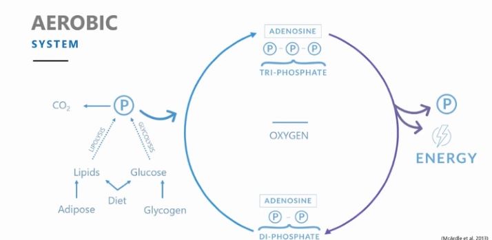 HUMAN ENERGY SYSTEMS