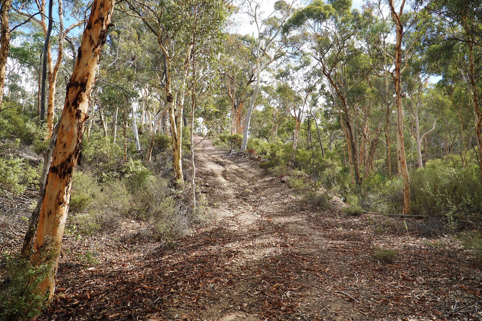 Clackline Walk GPS Route (Clackline Nature Reserve) ~ The Long Way's Better
