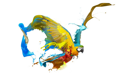 Design Ideas and Principles: Direction: Visual Manipulation in Design ...