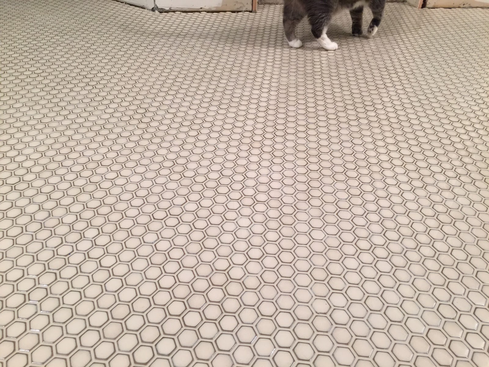 Of Cats and Cardstock: Bathroom Remodel: Finished Tile