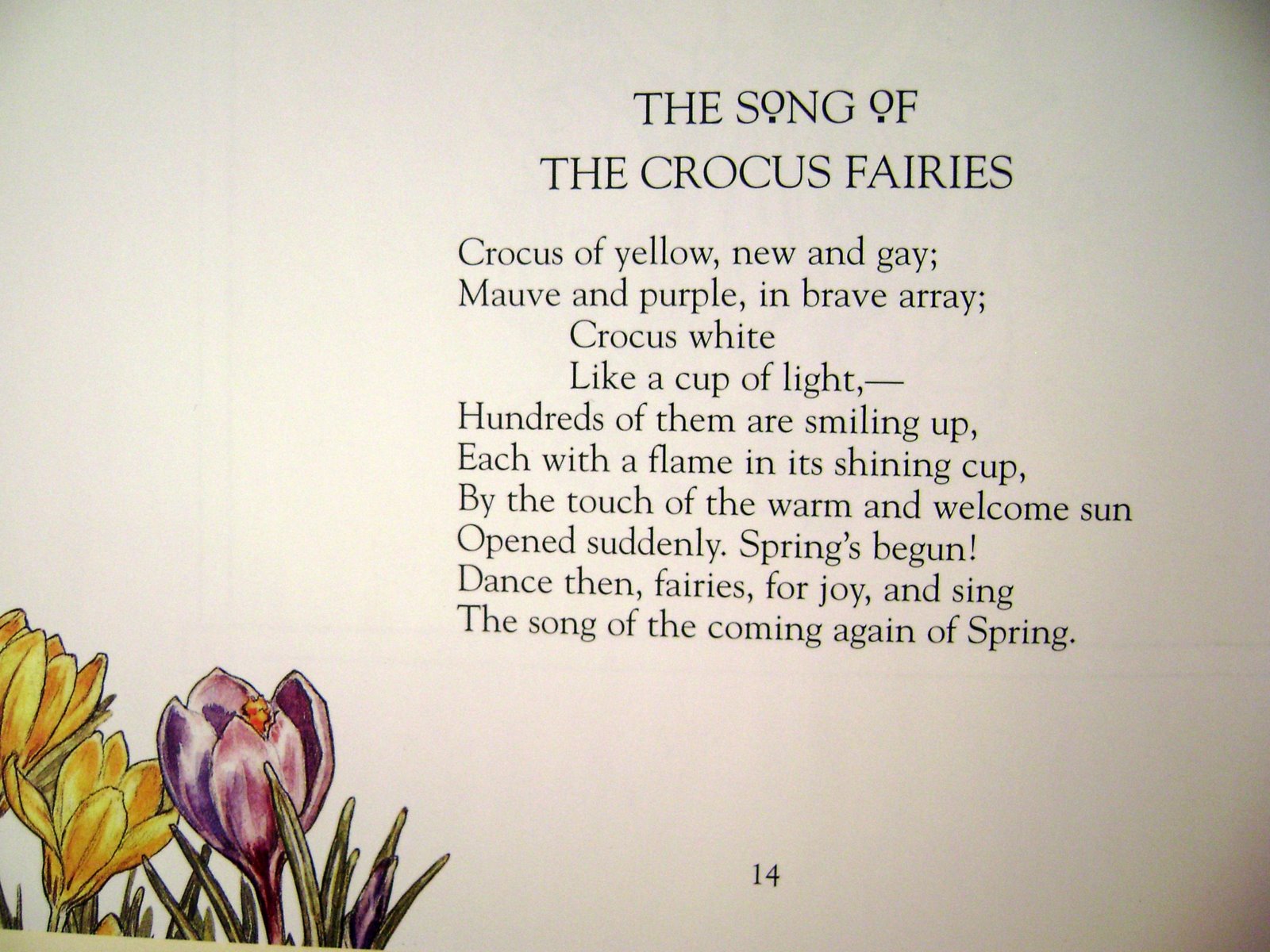 Jill's World of Research, Reaction and Millinery: The Flower Fairies ...