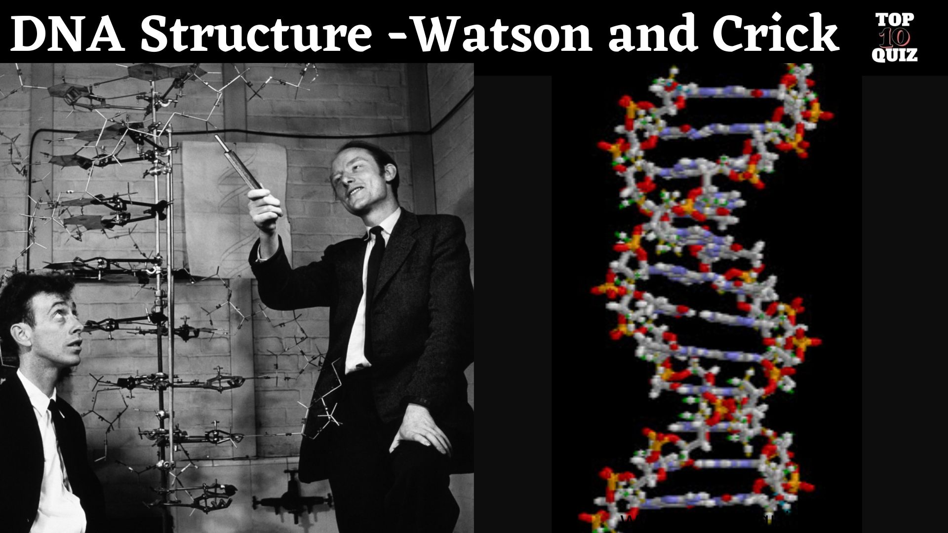 101 Biological Science Inventions and Discoveries (Part 1)