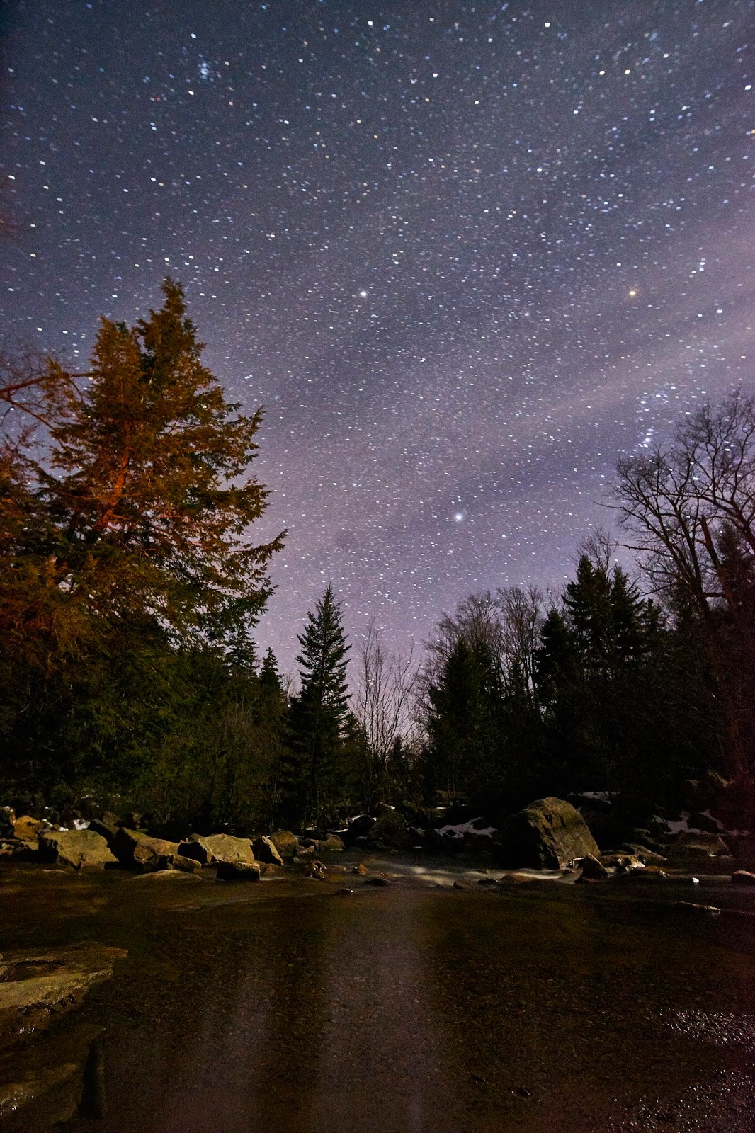 Dolly Sods spring | Backcountry Post